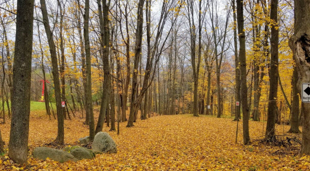 Home to Many Utica Area Attractions and Things to Do | GreenUtica
