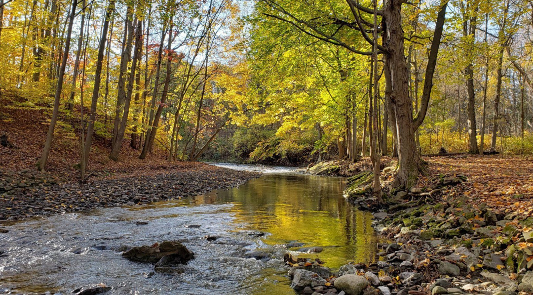 This Olmsted Park is Utica’s Crown Jewel | GreenUtica