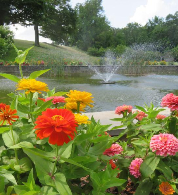 Leading the Preservation and Beautifciation of Utica’s Parks | GreenUtica